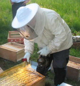 Imkern | Imker Weinsberger Tal